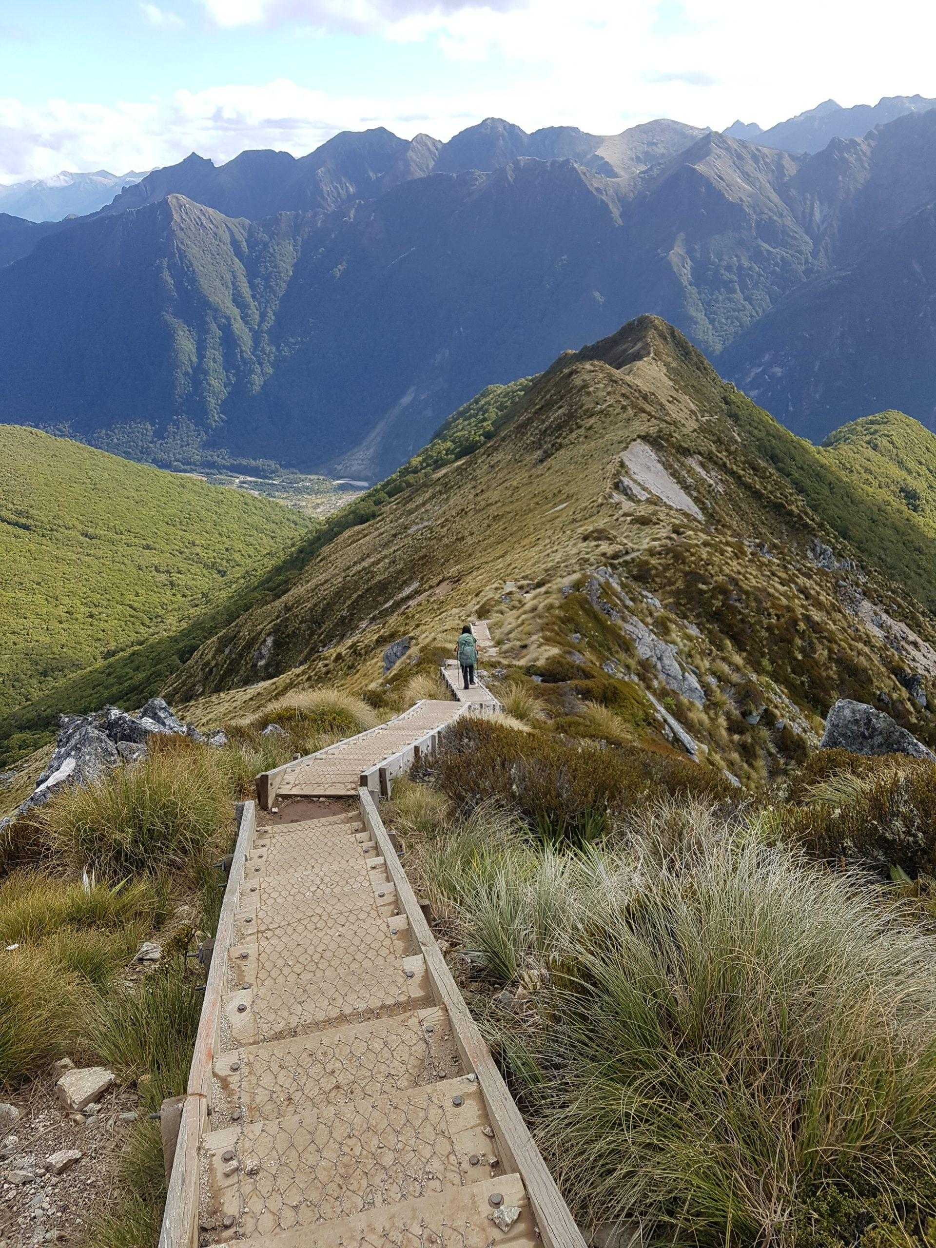 Kepler Track NZ Great Walk - Walking and Hut Guide